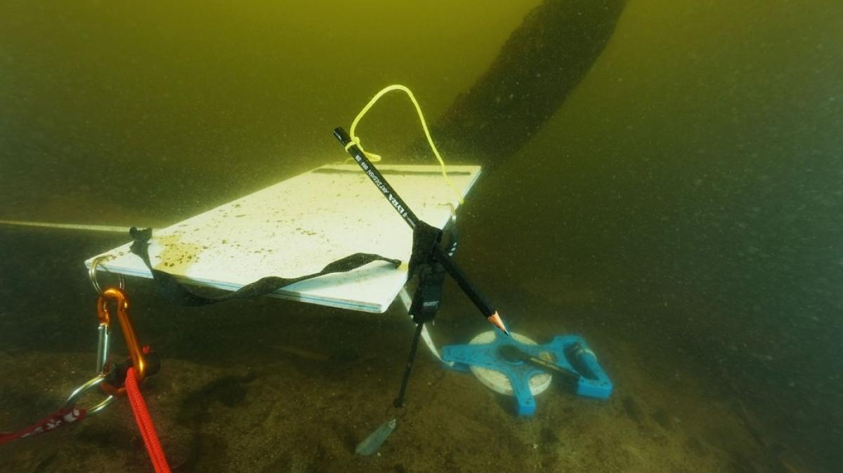 Archäologie-Ausstellung über historische Wracks vom Großensee