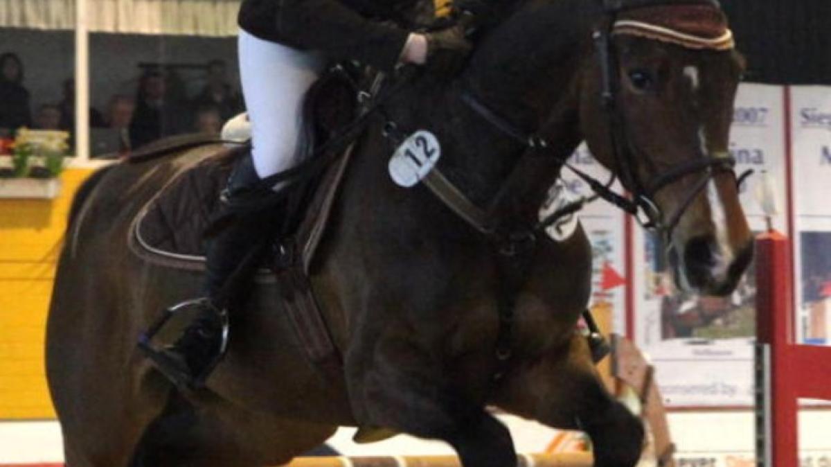 Pony-Reiter zu Gast in Hollage | NOZ