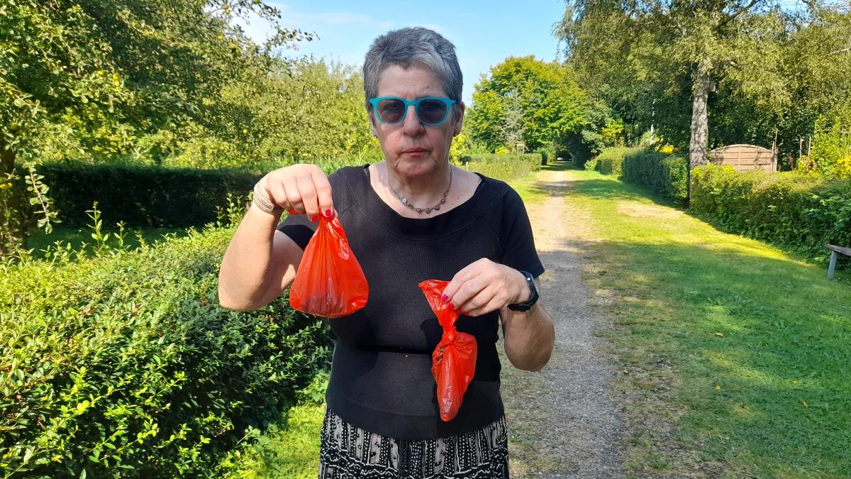 Wütende Kleingärtner: Zu viele Hundehaufen in Niebüll