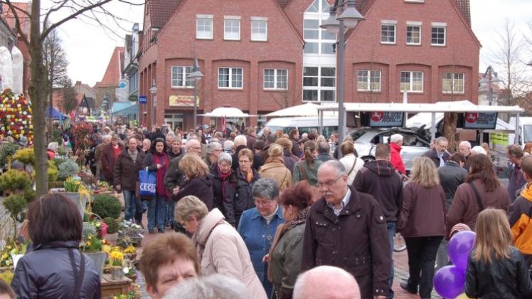 Der Frühling erwacht in Bramsche | NOZ