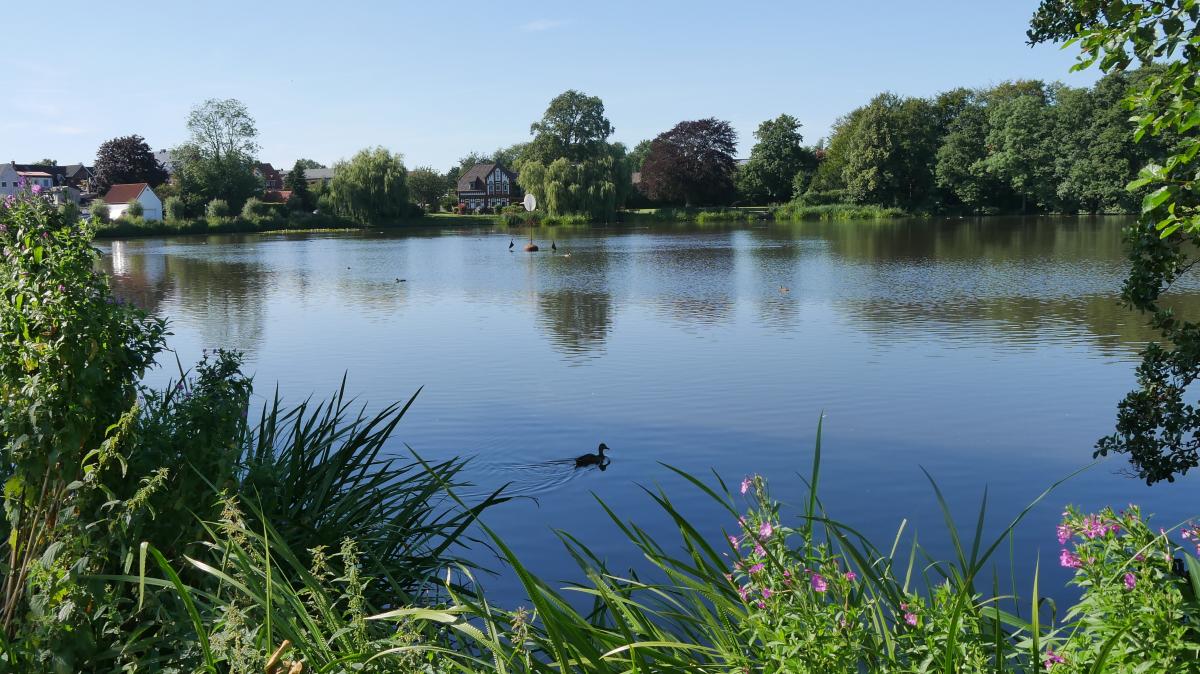 Was am Bredstedter Mühlenteich verändert werden soll