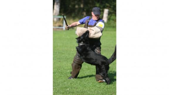 Ansgar Schepers trainiert mit seinem Schäferhund Ferris