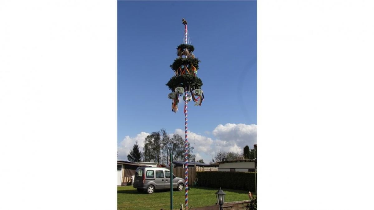 Maibaum 2016: Kategorie 1 (bis einschließlich acht Meter Höhe) | NOZ