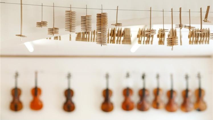 Geigen vom Geigenbaumeister Knauer | NOZ