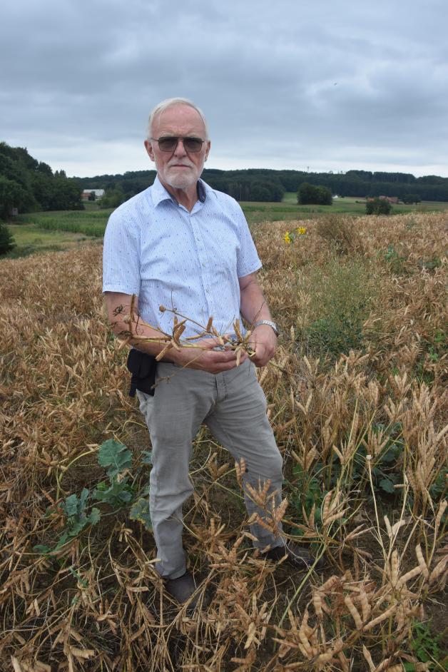 Seltenes Obst: Das wächst auf Meller und Wittlager Feldern