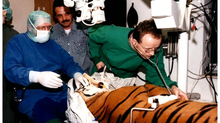 Tiergesundheitszentrum Grußendorf feiert 90-jähriges Bestehen