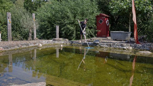 Landtagswahl 2022: Alexander Beier, Idealist mit Iro