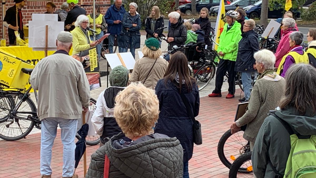 Klima-Demonstration von Fridays for Future in Papenburg