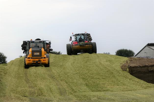 Maisernte erhöht in Nordfriesland Unfallrisiko für den Verkehr