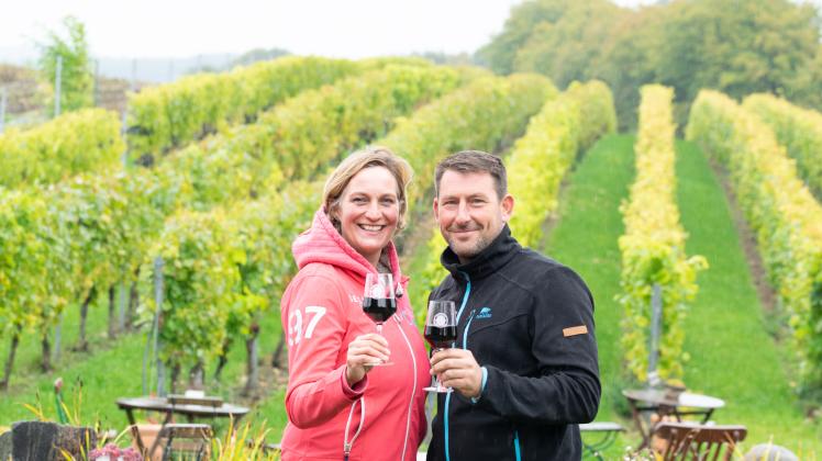 Ingenhof: Weinlese auf einzigem Weinberg Ostholsteins beginnt | SHZ