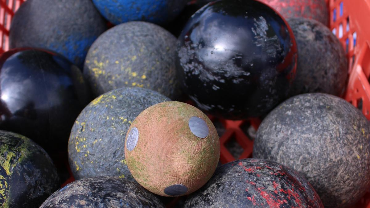 Boßel-Tour durch den Heistmer Wald ++ Fastnachkonzert in Tornesch | SHZ