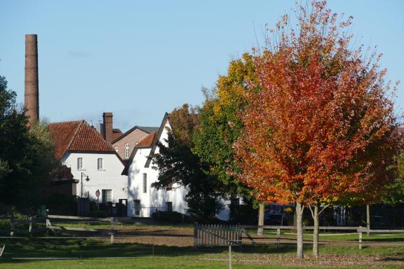 Die schönsten Herbstfotos aus Bramsche