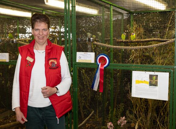 Hunderte Kanarienvögel und Papageien: So bunt war die Vogelschau in ...