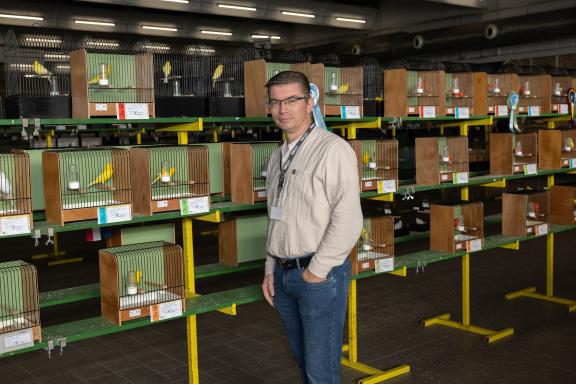 Hunderte Kanarienvögel und Papageien: So bunt war die Vogelschau in ...