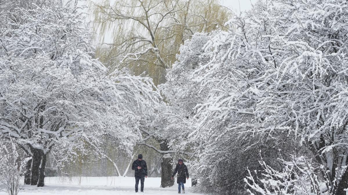 Schnee: Wo es am Wochenende in Deutschland schneien soll