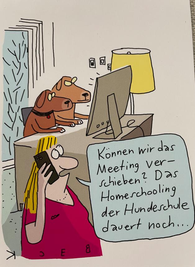 Beck-Karikaturen und Cartoons im Itzehoer Kreismuseum Prinzeßhof | SHZ