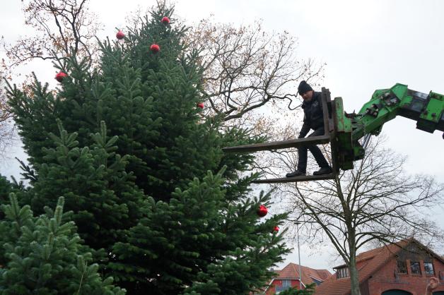 Ein Weihnachtsbaum aus Wasbek für Padenstedt