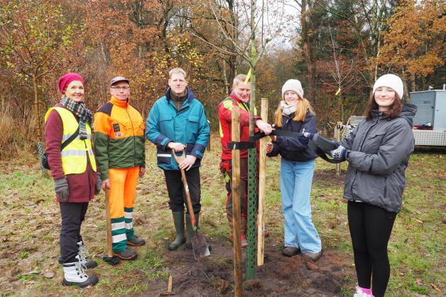 Neue Streuobstwiese in Tornesch als Oase für Vögel und Insekten