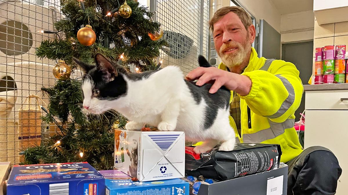 Gas, Futter, Streu, Tierarzt: Teuerungsfalle für Husumer Tierheim