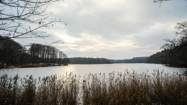 Ist auf Westerwerker See in Glücksburg bald Eislaufen möglich?