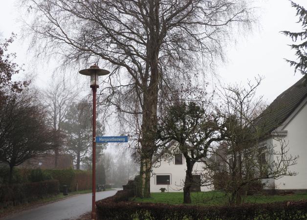 Bürgermeister Alexander Schmidt: Twedt will die Steuern senken