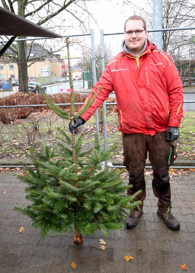 Weihnachten: Zehn hässliche Tannenbäume in und um Osnabrück