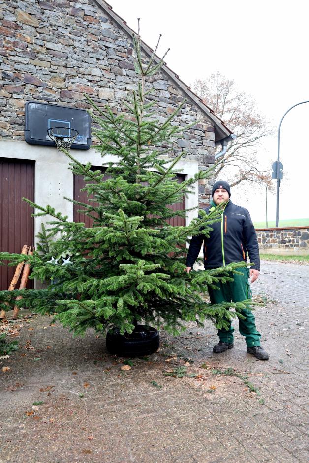 Weihnachten: Zehn hässliche Tannenbäume in und um Osnabrück