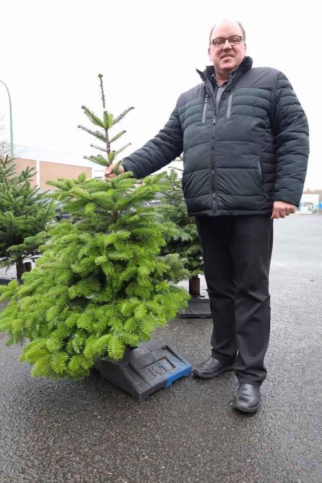 Weihnachten: Zehn hässliche Tannenbäume in und um Osnabrück