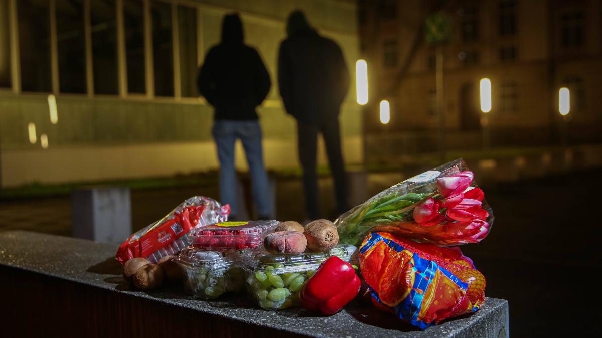 Containern: Schwarz-Grün in SH streitet über Straffreiheit