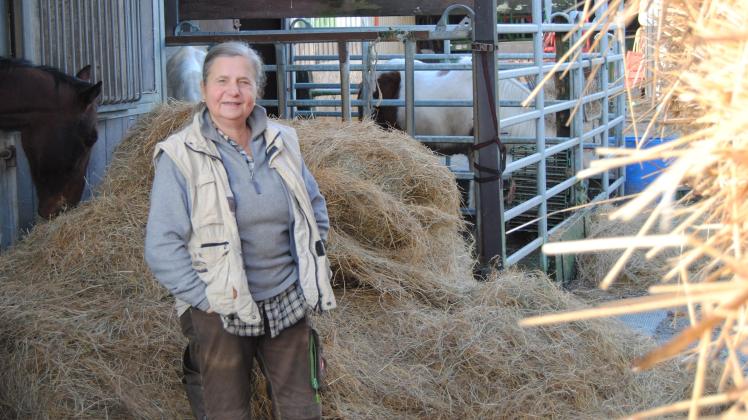 Föhr: Renate Christiansen kümmert sich um 50 Pferde