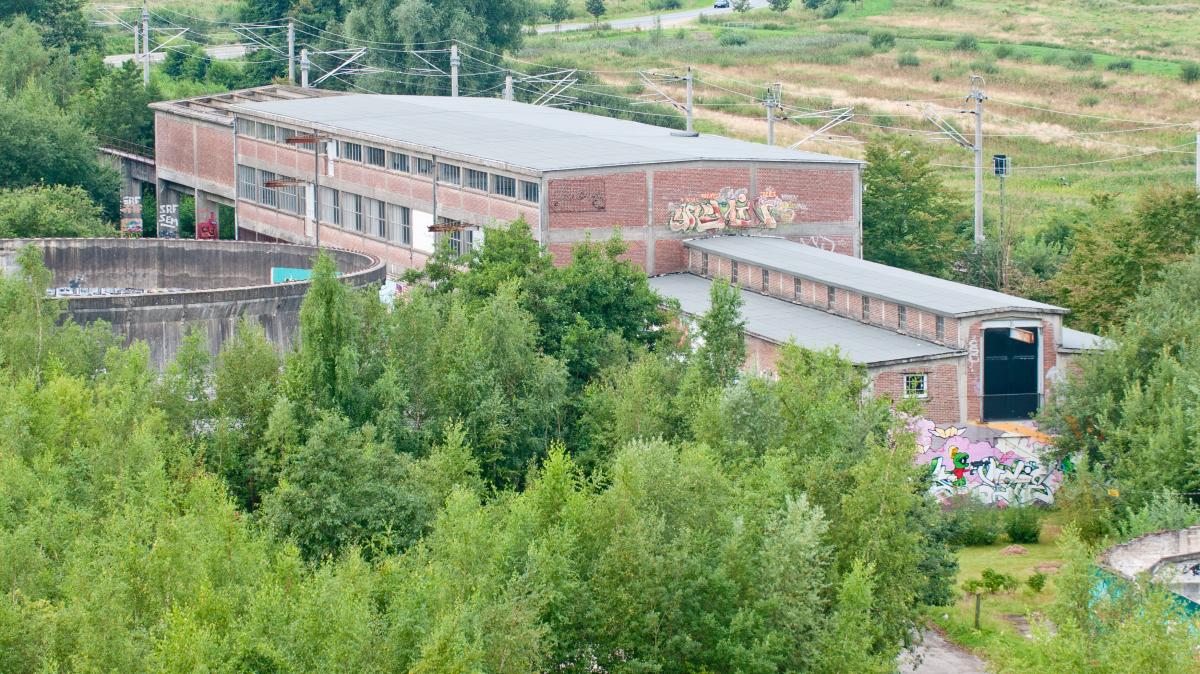 Alsen-Gelände in Itzehoe – Artenvielfalt zwischen Zement-Ruinen