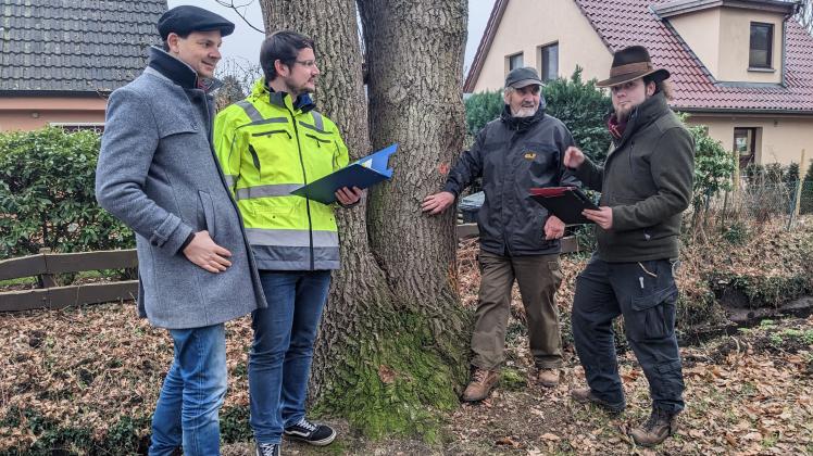 Rund 60 Bäume müssen in Stuhr-Moordeich weichen