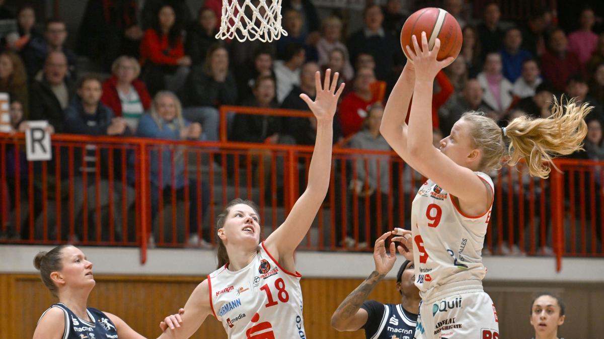 Girolive-Panthers gewinnen 80:65 gegen Eisvögel Freiburg