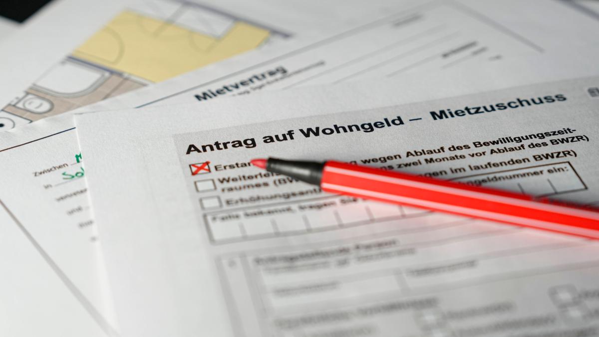 Antragsflut auf Wohngeld-Plus beim Lotter Sozialamt