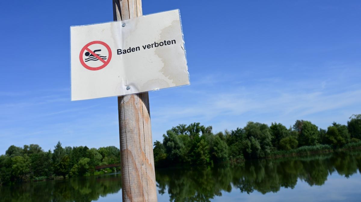 Giftige Algen im Dieksee: Stadt Lingen warnt vor Hautkontakt