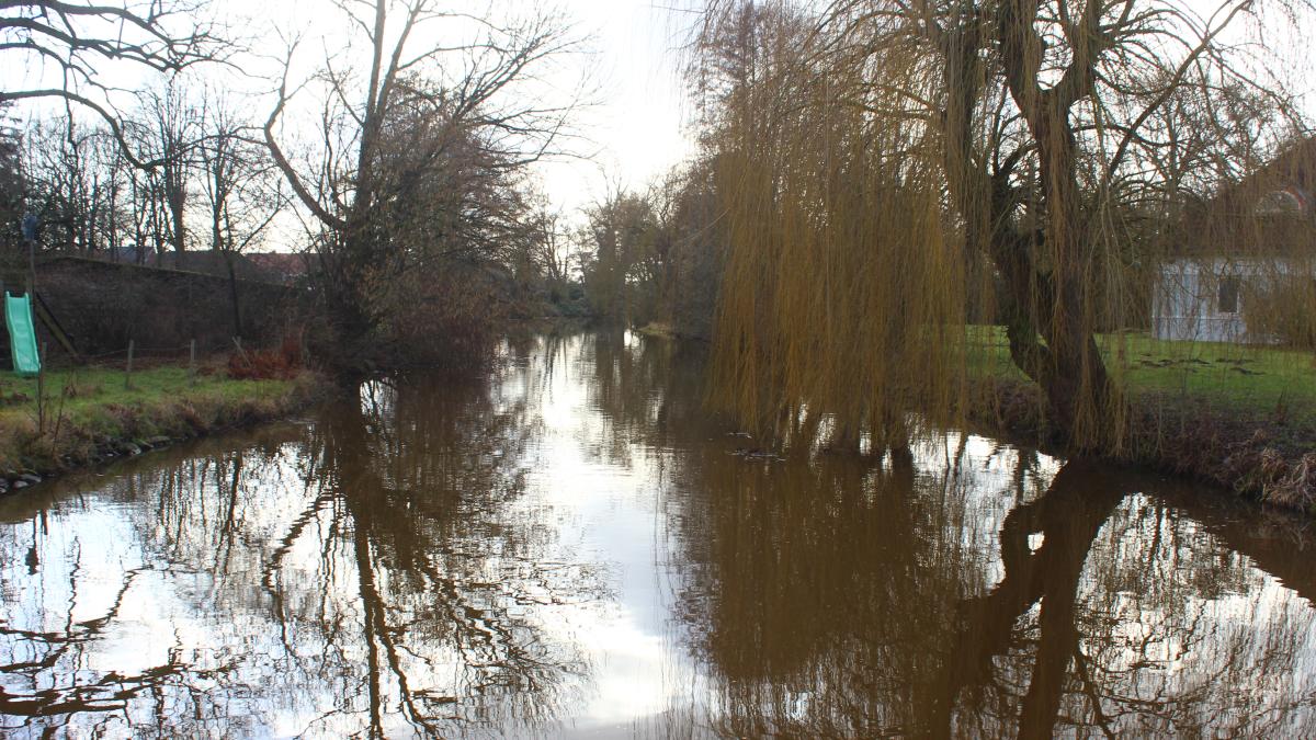 Rettung der Delme-Fische in Gang – Aber ein Rätsel bleibt