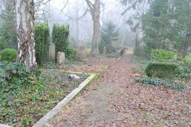 Grün verschwindet: Umbau auf dem Alten Friedhof in Schwerin | SVZ Grün verschwindet: Umbau auf dem Alten Friedhof in Schwerin | SVZ