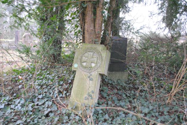 Grün verschwindet: Umbau auf dem Alten Friedhof in Schwerin | SVZ Grün verschwindet: Umbau auf dem Alten Friedhof in Schwerin | SVZ