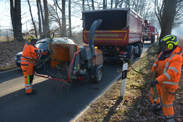 Baumpflege an der L40 in Lingen: Verkehrssicherheit im Blick