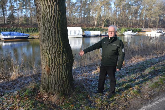 Baumpflege an der L40 in Lingen: Verkehrssicherheit im Blick