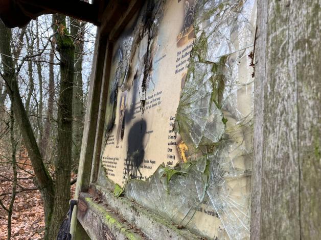 Stadt Lingen will alten Waldlehrpfad Darme erneuern