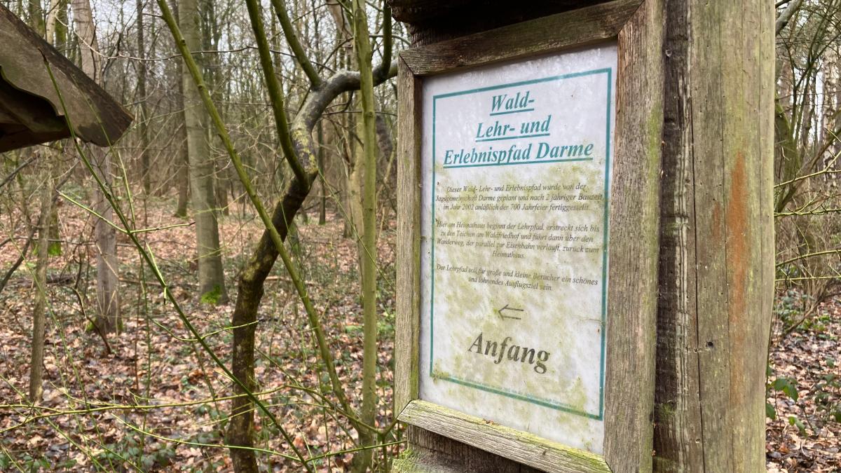 Stadt Lingen will alten Waldlehrpfad Darme erneuern
