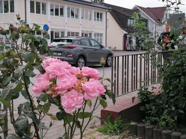 Serie 700 Jahre Quickborn: Die Häuser der Kieler Straße