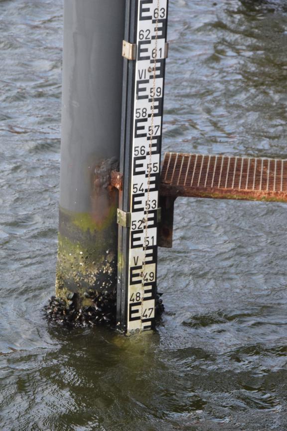 Bildergalerie: Das Noor brodelt, die Ostsee wird zum Wattenmeer