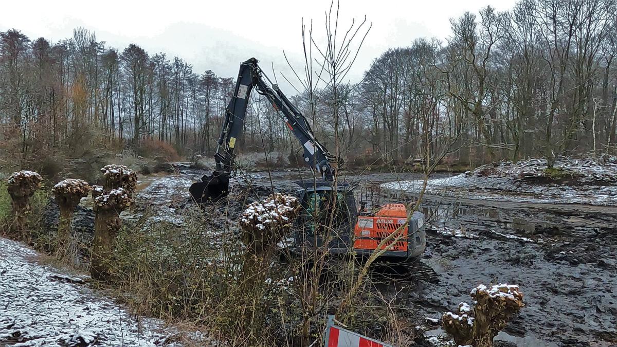 Faulschlamm: Das passiert am Friedrichshulder See in Schenefeld
