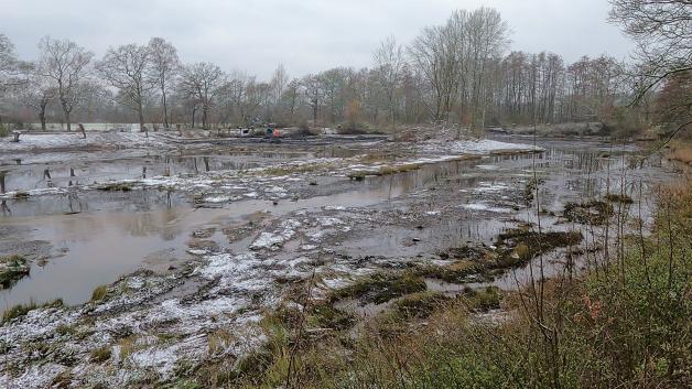 Faulschlamm: Das passiert am Friedrichshulder See in Schenefeld