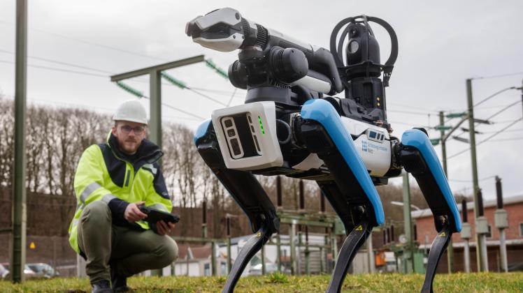 Roboterhund in Rendsburg: So soll Lars der SH Netz helfen