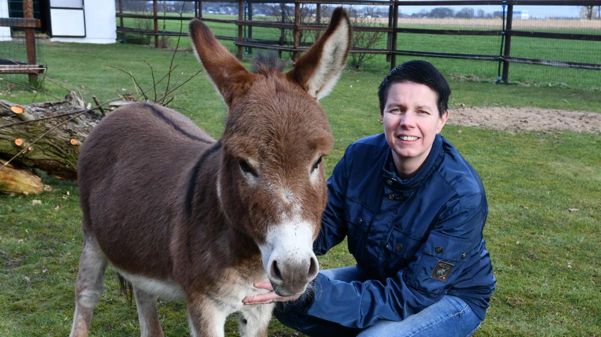 Petra Appeldorn züchtet in Löningen Deutsche Mini-Esel