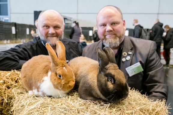 Alpakas, Schafe und Co. - so tierisch ging es in der Hanse Messe ...