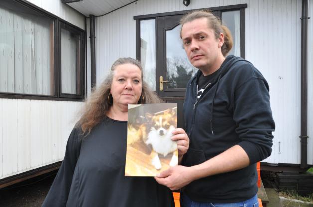 Neubörger: Weiter keine Spur von Hund „Bruno“, aber Hoffnung lebt